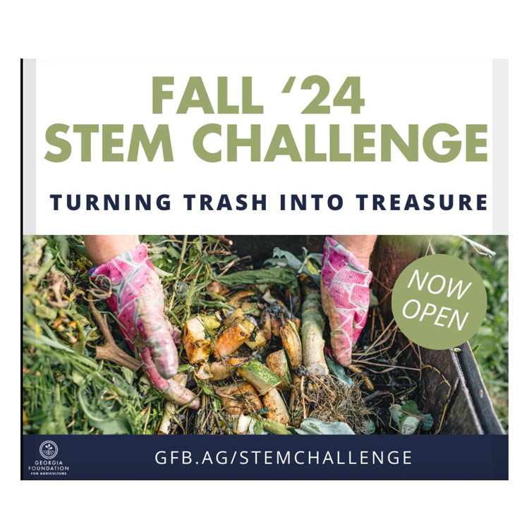 Unlocking the Clifton Park Bulk Pickup 2025 Schedule: Your Ultimate Guide